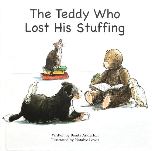 The Teddy Who Lost His Stuffing - HB | The Classroom Children's ...