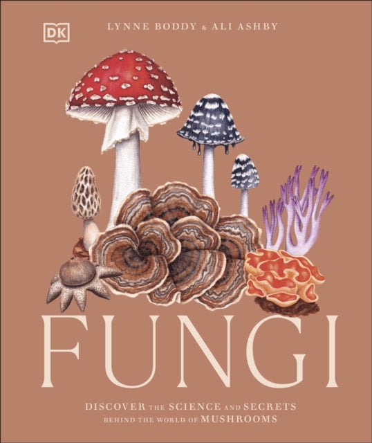 Fungi - HB - Christmas Catalogue 2023 - Published: 2 Nov 2023 | The ...